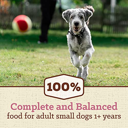 NUTRO MAX Adult Mini Chunk Recipe Dry Dog Food With Farm-Raised Chicken, 25 LB Bag