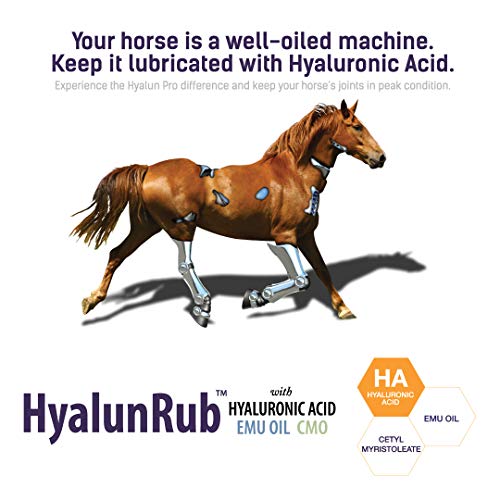 Hyalogic HA Joint Cream for Horses 6 oz Hyaluronic Acid Soothes Equine Joints and Muscles - HyalunRub