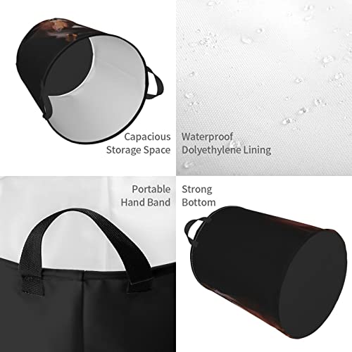 FeHuew Handsome Brown Horse Collapsible Laundry Basket with Handle Waterproof Hamper Storage Organizer Large Bins for Dirty Clothes,toys