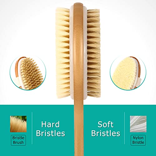 Gunoze Shower Brush Set, Dual-Sided Long Handle Back Scrubber with Soft and Stiff Bristles, and 2 Pack Dry Brushing Body Brush for Wet or Dry Brushing, Shower Body Exfoliating for Radiant Skin