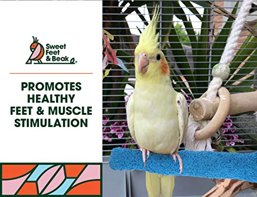 Sweet Feet and Beak Comfort Grip Safety Perch for Bird Cages - Patented Pumice Perch for Birds to Keep Nails and Beaks in Top Condition - Safe Easy to Install Bird Cage Accessories - M 8.5"