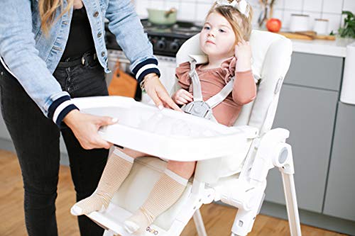 Inglesina Gusto Folding Convertible High Chair For Baby & Toddler Chair With Removable Tray, Cream