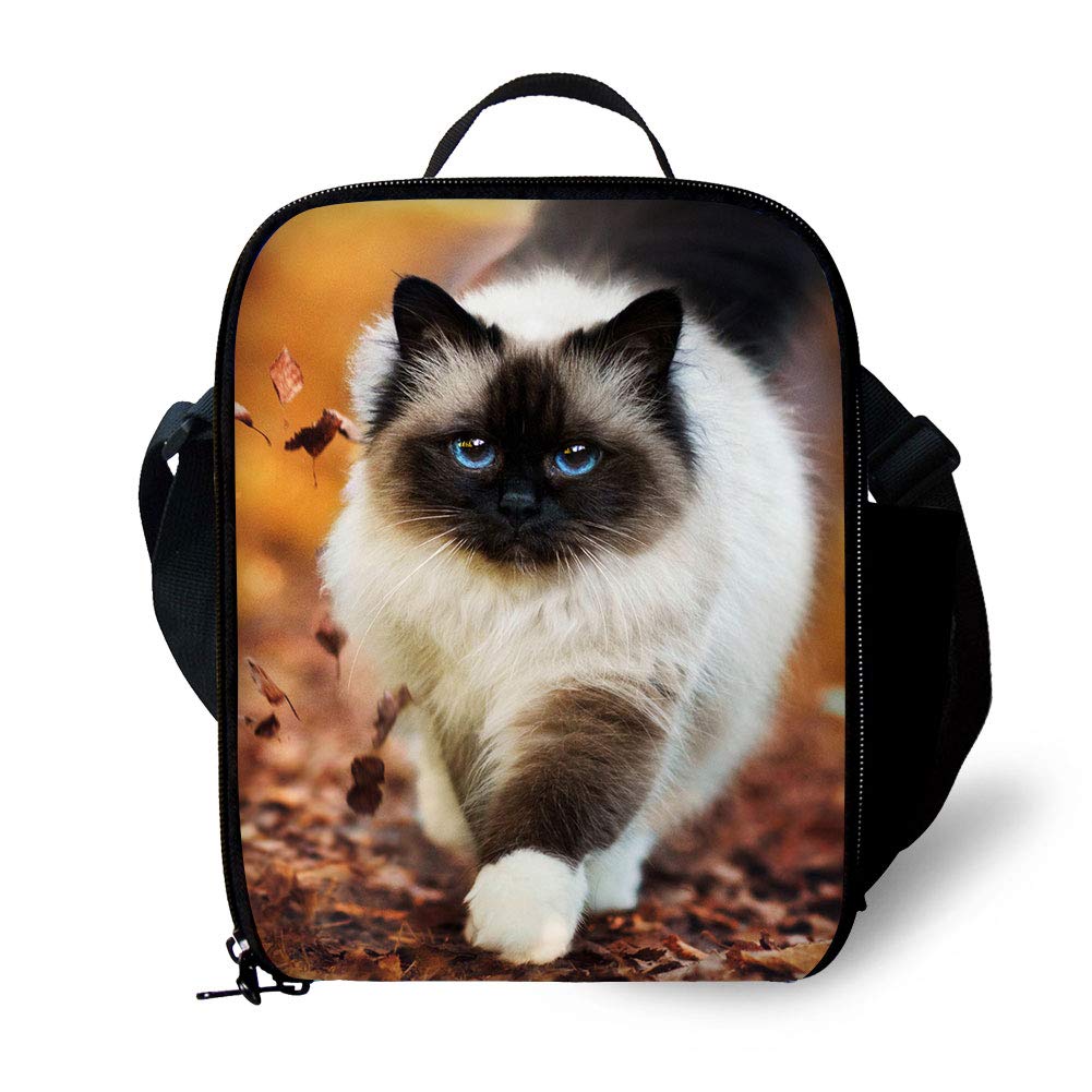 ANYFOCUS Lunch Bag, Durable Insulated for Kids Boys Girls Cooler Bag Cat Print