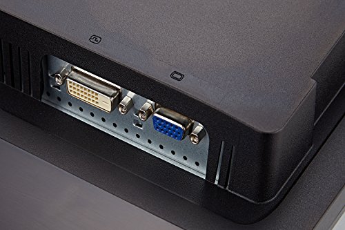 ViewSonic VA951S 19 Inch IPS 1024p LED Monitor with DVI VGA and Enhanced Viewing Comfort, Black