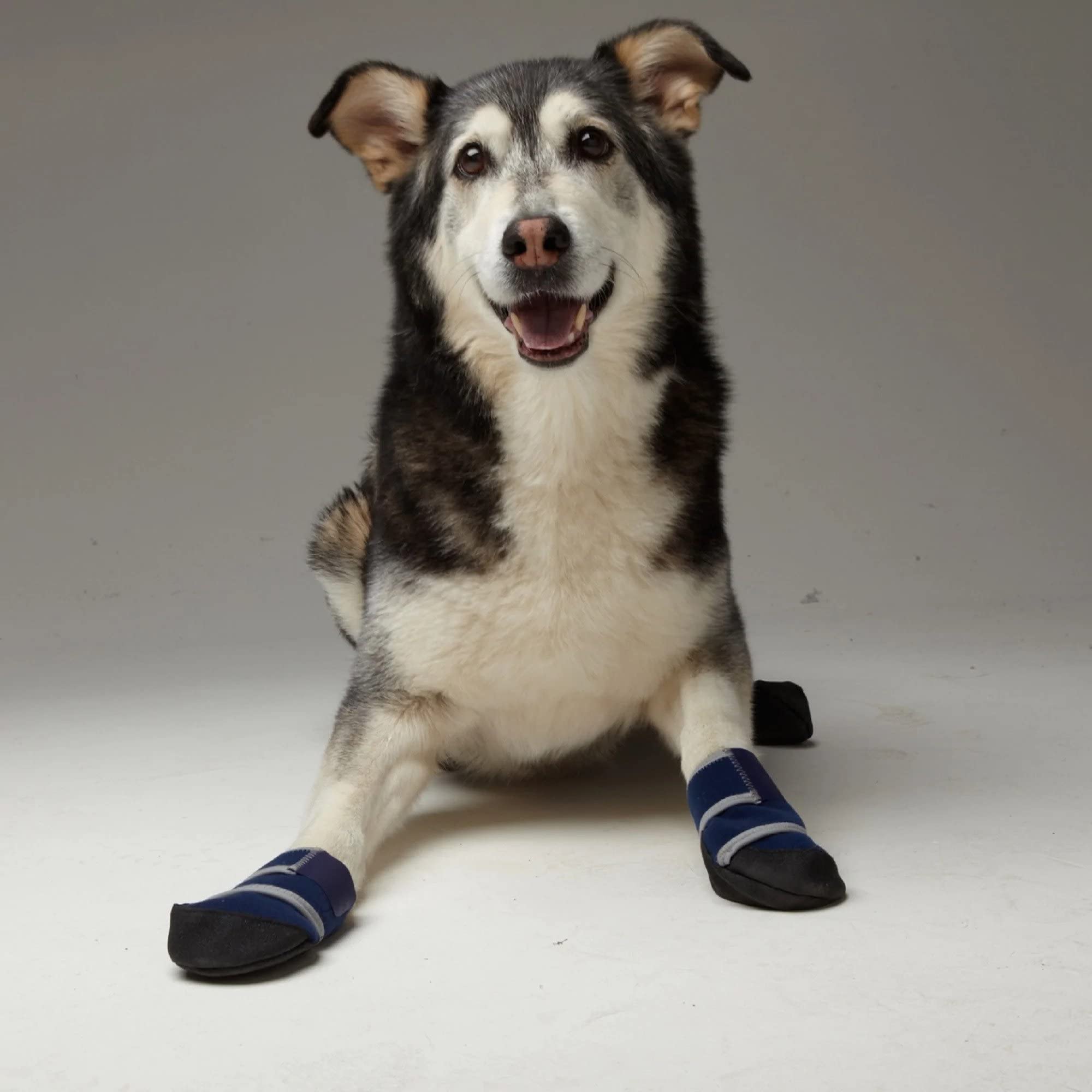 Healers Nonslip Paw Protection Dog Booties for Medium Size Dogs - Soft Comfortable Dog Boots With Best Paw Traction - Gauze Included (Blue)