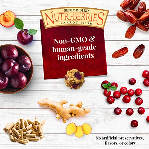 LAFEBER'S Senior Bird Nutri-Berries Pet Bird Food, Made with Non-GMO and Human-Grade Ingredients, for Parrots, 10 oz