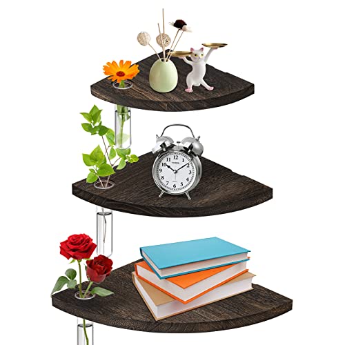 HYPOSFEE Wood Corner Shelf Wall Mount, 3 Tier Corner Shelf Floating with Planter Terrarium, Round Corner Floating Shelves Wall Storage, Corner Decor Shelf for Bedrooms, Office