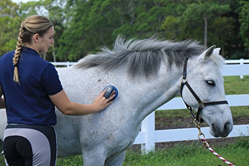 Oster Equine Care Series 7-Piece Horse Grooming Kit
