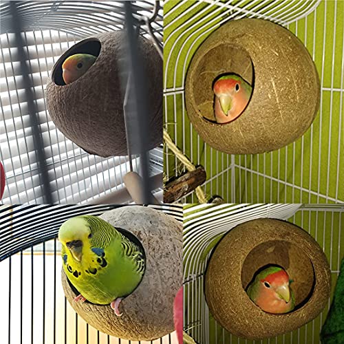 OMEM Bird Coconut House,Hamster House,Coconut Shells can Fixed in Bamboo, Birdcages, Hamster Cages (L)