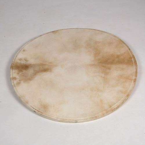 Goat Skin Djembe Head | Goatskin for Drum Doumbek| Natural Flat Round Piece GOAT SKIN Head untanned by AnNafi (10 inches)