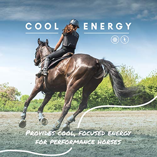 Manna Pro Cool Calories 100 | Equine Dry Fat Supplement for Healthy Weight Gain | 8 Pounds