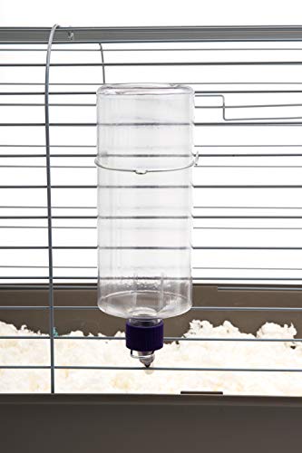 Lixit Standard Cage Water Bottles for Rabbits, Ferrets, Guinea Pigs, Hamsters, Rats, Mice and Other Small Animal's (32 Ounce, Clear)