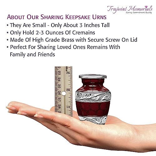 Trupoint Memorials Cremation Urns for Human Ashes - Decorative Urns, Urns for Human Ashes Female & Male, Urns for Ashes Adult Female, Funeral Urns - Red, 1 Small Keepsake