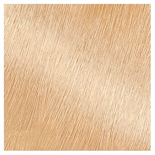 Garnier Nutrisse Ultra Color Hair Color and Anti-Brass Treatment, LB2 Ultra Light Natural Blonde, 2 count
