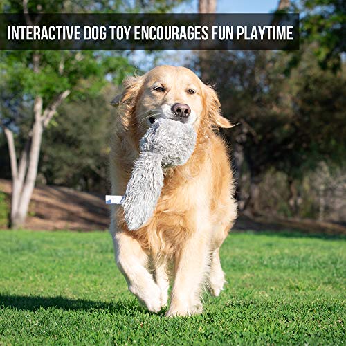 Hyper Pet Doggie Tail Interactive Plush (Wiggles, Vibrates, and Barks β Dog Toys for Boredom and Stimulating Play)