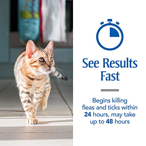 PetArmor Plus for Cats, Flea & Tick Prevention for Cats (Over 1.5 lb), Includes 6 Month Supply of Topical Flea Treatments, white, 6 count
