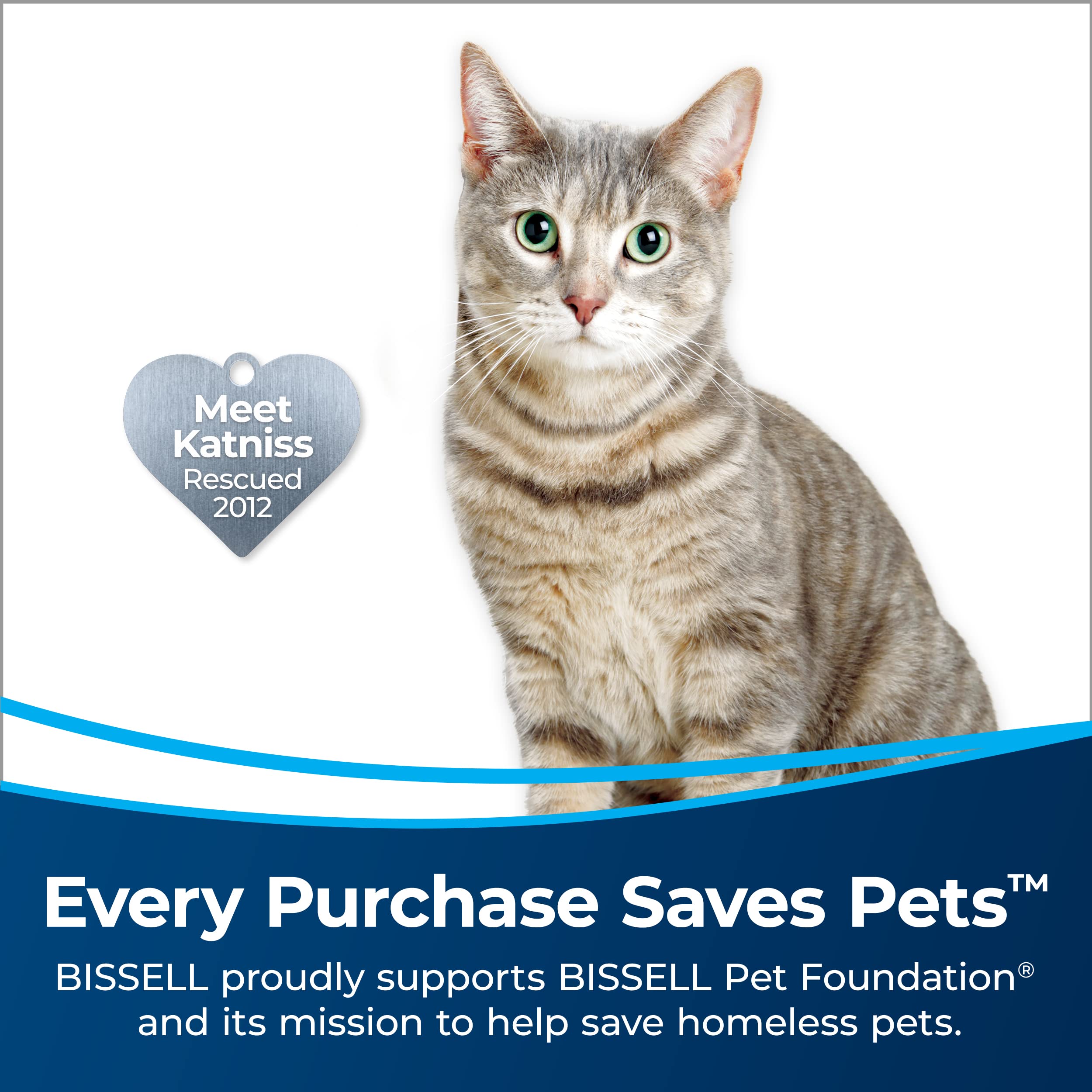 BISSELL air280 and air280 max Replacement filter