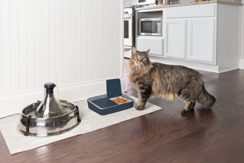 PetSafe Digital Two Meal Automatic Pet Feeder for Cats and Dogs, 2 x 200 g Trays, 4 Day Programming,Blue