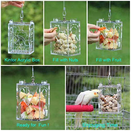 KINTOR Parrot Creative Foraging Toy Feeder Bird Cage, Big Size 4.8x3.6x2.6inch