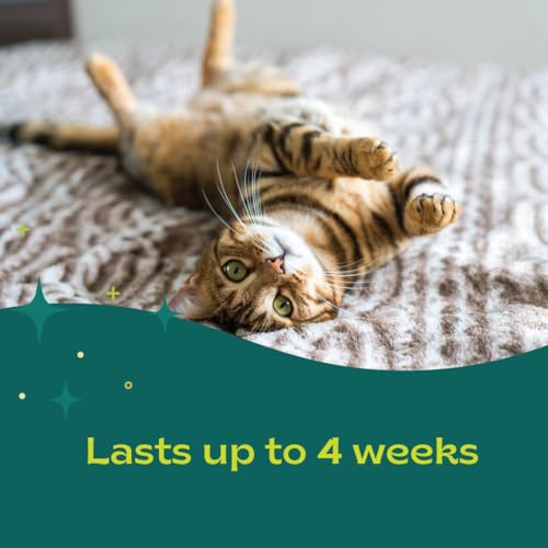 bSerene Pheromone Calming Collar for Cats Up to 30 Days Stress Relief Promotes Calmness, Reduces Hiding, Excessive Meowing, Urine Marking, Aggression, Travel Stress Drug-Free, Vet-Tested