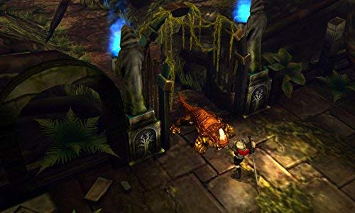 Heroes of Ruin - Nintendo 3DS (Renewed)