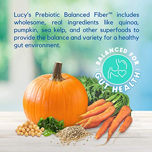 Lucy Pet Products Duck, Pumpkin, and Quinoa, 4.5 lb, Model:850657006494