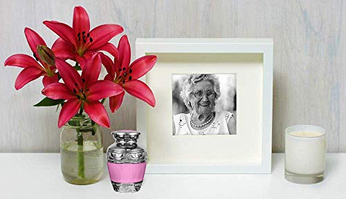 Trupoint Memorials Cremation Urns for Human Ashes - Decorative Urns, Urns for Human Ashes Female & Male, Urns for Ashes Adult Female, Funeral Urns - Light Pink, 1 Small Keepsake