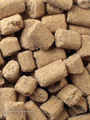 Mazuri | Pet Rat & Mouse Food | Rodent Pellet Blocks| 2 Pound (2 Lb.) Bag