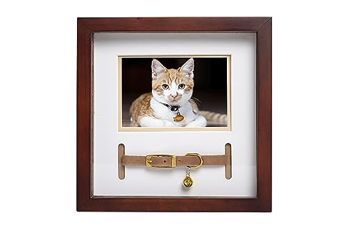 Pearhead Pet Collar Keepsake Frame, Pet Memorial Picture Frame, Pet Owner Home Decor, Cat Or Dog Keepsake, 3" x 4.5" Photo Insert, Wall Mount And Tabletop Frame, Espresso