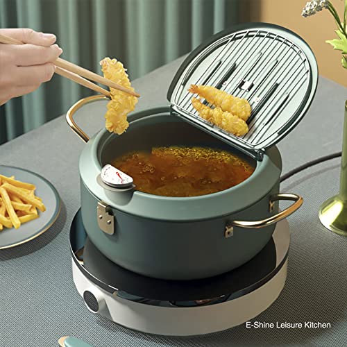 Deep Fryer Pot by E-Shine Leisure Kitchenware, Japanese Style Tempura Deep Fryer with Fahrenheit Thermometer, Small and Easy Clean, Vintage Green, DIAM. 9.5β