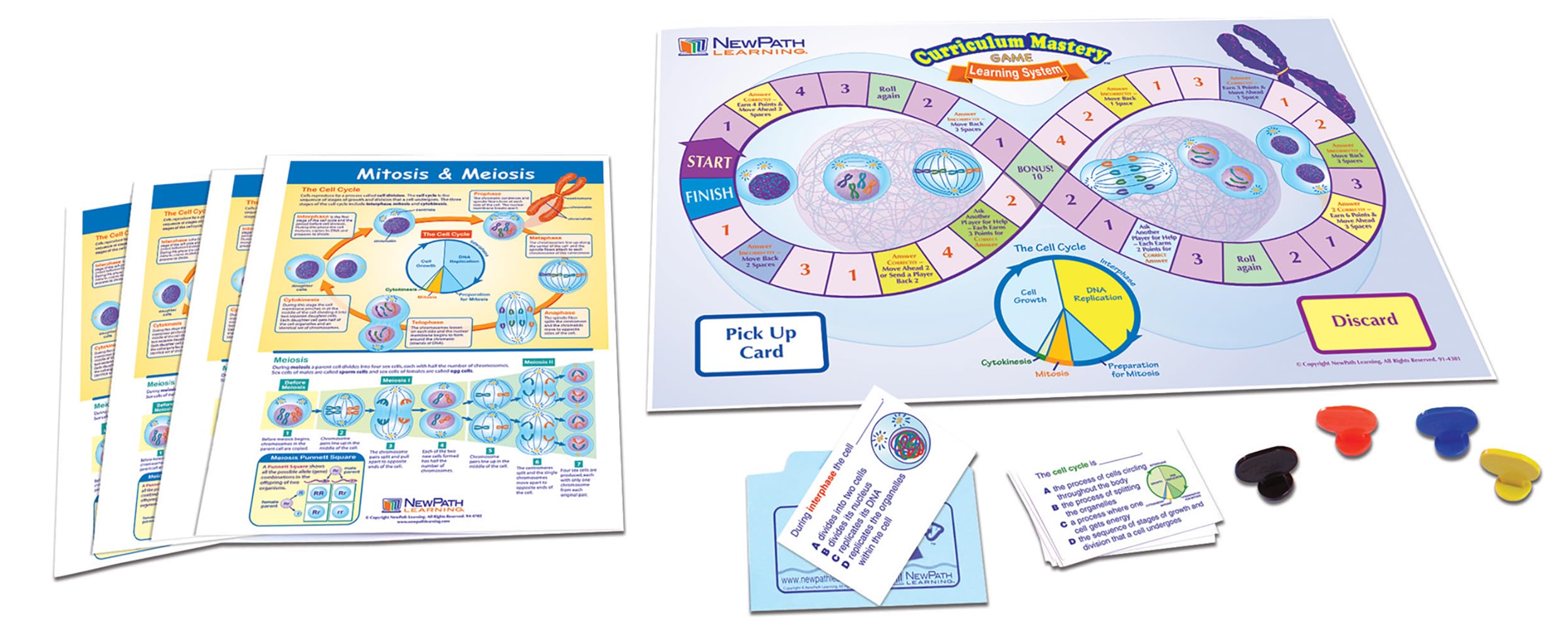 NewPath Learning Mitosis & Meiosis Learning Center Game - Grades 6-9, Standard, Full