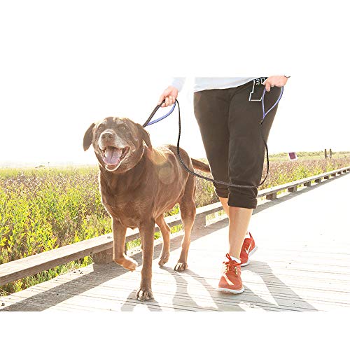 rabbitgoo Dog Leash 6ft Long, Heavy Duty Leash with 2 Padded Traffic Handles, Hands Free Leash for Control Safety Training, Reflective Walking Lead for Small, Medium, Large Dogs