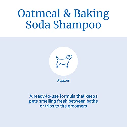 PetAg Fresh 'n Clean Oatmeal 'n Baking Soda Dog Shampoo - Tropical Fresh Scent - Strengthens, Repairs, & Protects Your Dog's Coat - 64 Fl Oz