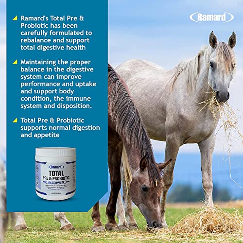Ramard Total Prebiotic & Probiotic Equine Formula - Natural Ingredients for Foals & Adult Horses, Healthy Gut Flora & Optimal Nutrient Absorption - The Ultimate Digestive Supplement - 8.5 oz Jar
