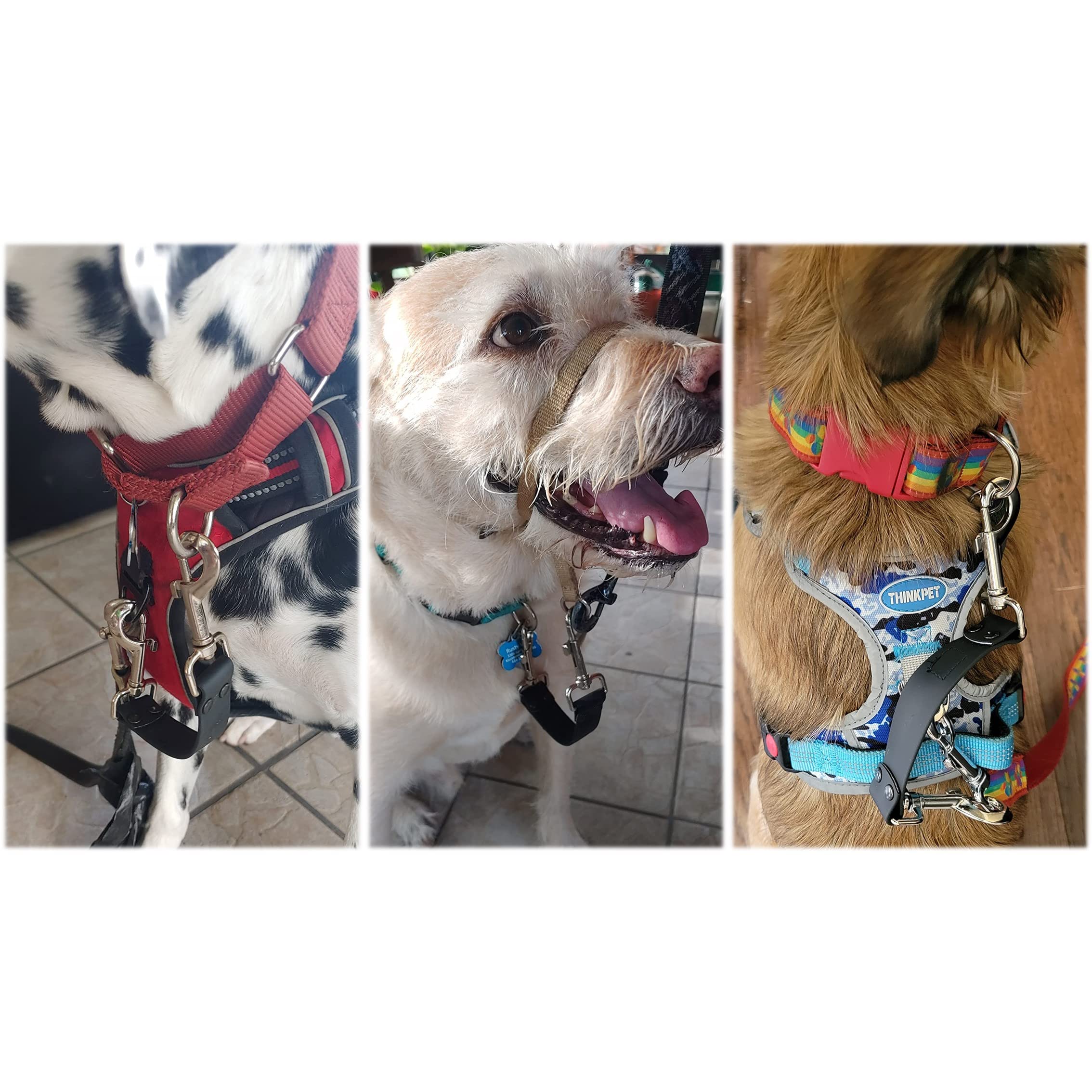 DEYACE Dog Collar Safety Clip, 2 Pack Waterproof Heavy Backup for Prong Collar, Dog Harness Collar Leash Connector (8-Inches, Black)