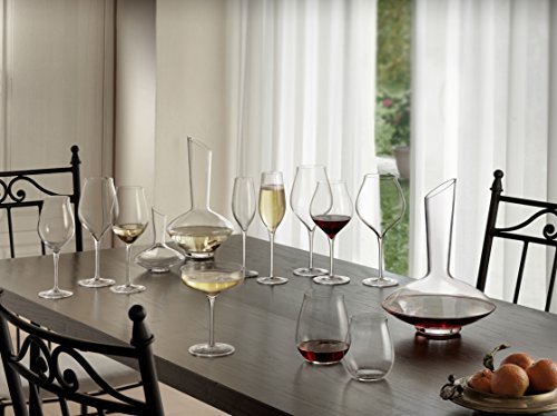 Luigi Bormioli Vinea 10.25 oz Cocktail Glasses, Set of 2, Clear