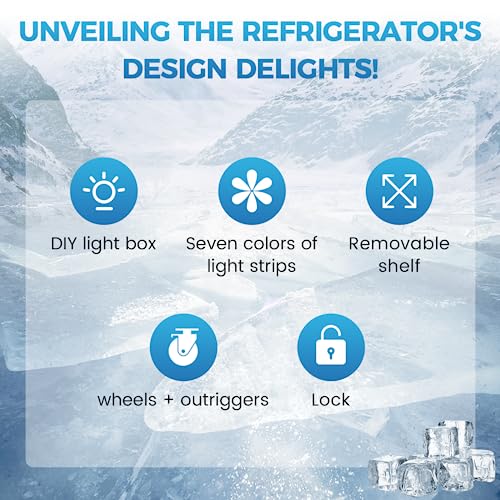 HIPOPLLER Refrigeration Glass 1 Door Upright Display Beverage Cooler Merchandiser with LED Lighting; 10.9 Cubic Ft., Silver