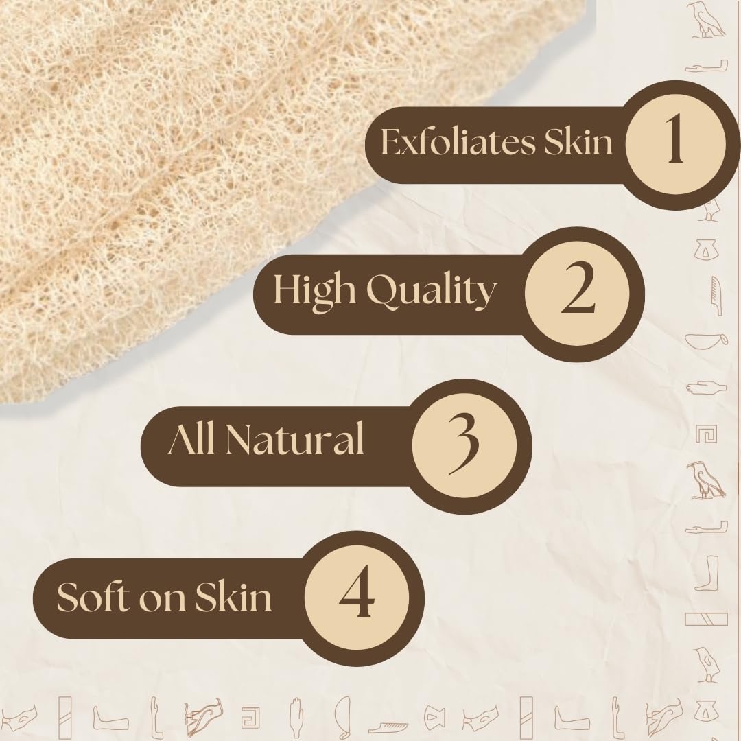 One Whole Egyptian Loofah 100% Natural SPA Beauty Bath Sponge Body Scrubber Puff. Premium Quality Lofa Loofa Luffa Loffa for exfoliating Your Skin.