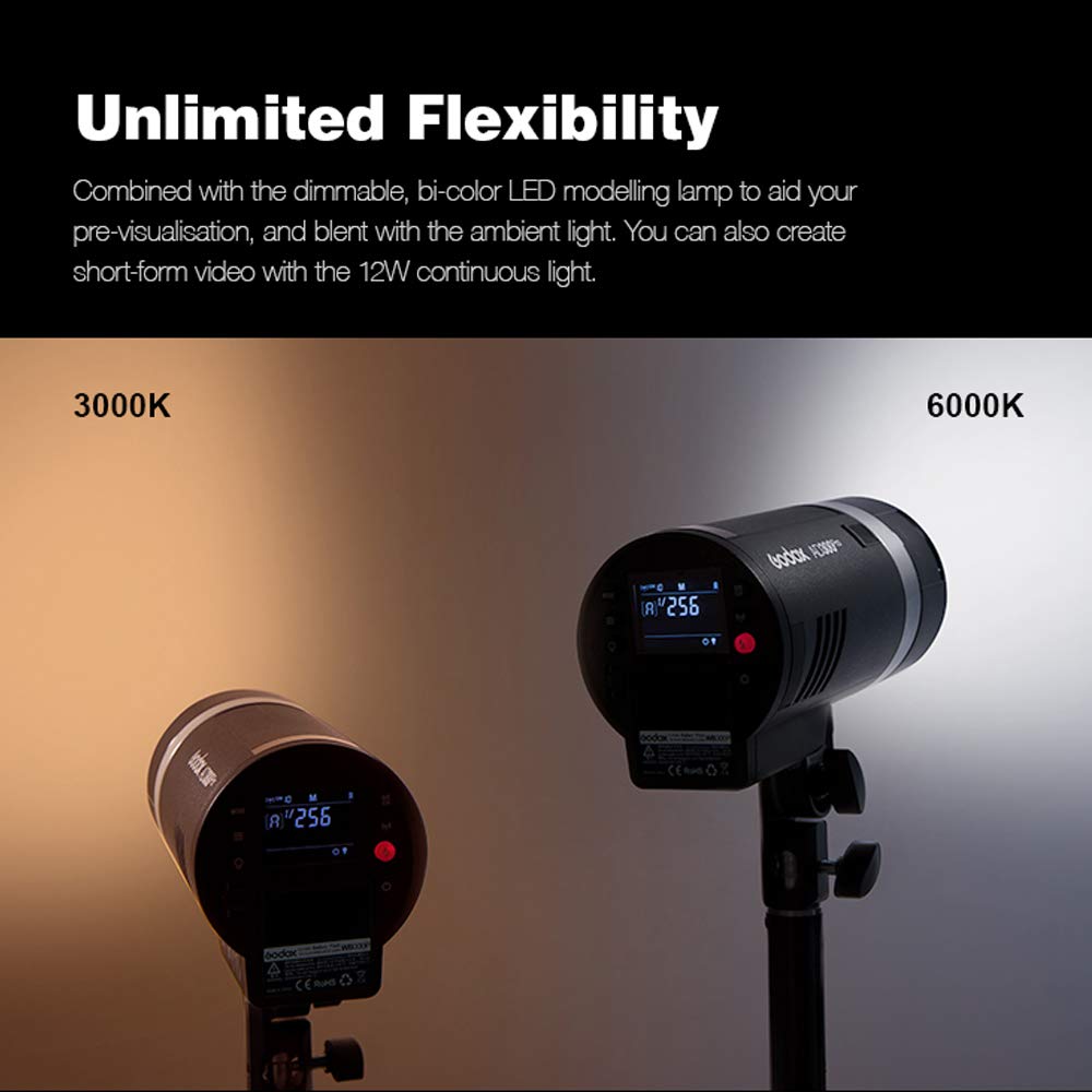 Godox AD300 Pro Outdoor Flash Strobe, 300Ws 2.4G TTL Flash Monolight, 1/8000 HSS, 2600mAh Lithium Battery, 12W Bi-Color LED Modeling Light for Wedding Portrait Studio Photography