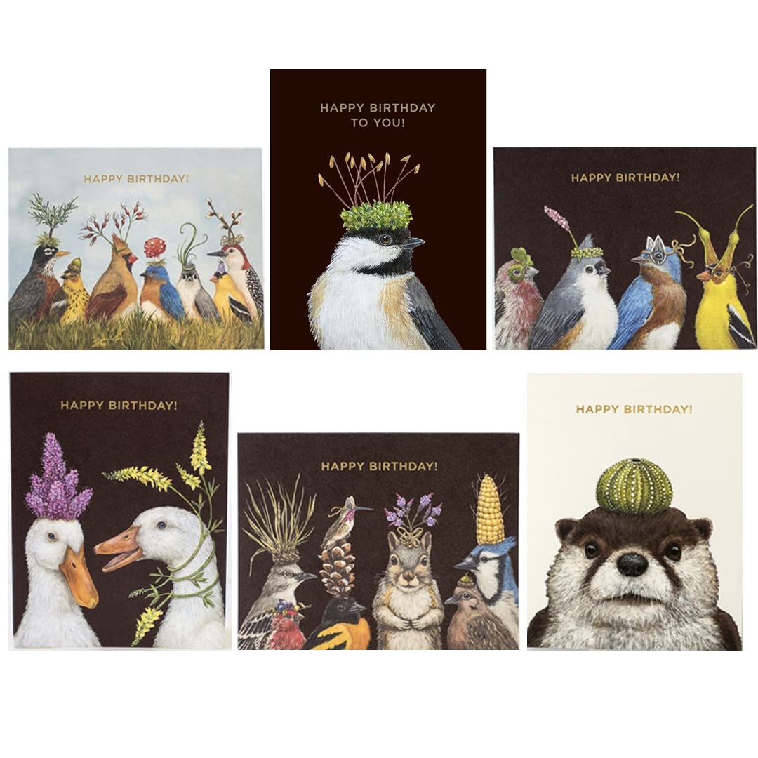 Hester & Cook Vicki Sawyer Blank Birthday Cards - Animal Card Boxed Set with Envelopes 6 Each - Made in USA