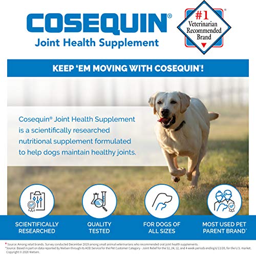 Nutramax Cosequin Minis Maximum Strength Joint Health Supplement - With Glucosamine, Chondroitin, MSM, and Omega-3's, 45 Soft Chews