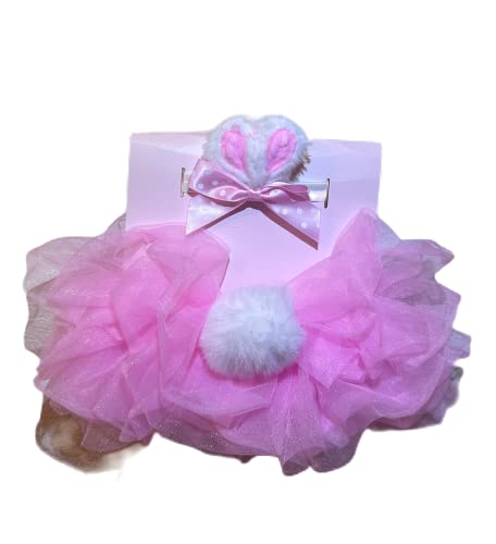 Baby Girl Photo-Prop Set, Bunny Tutu and Head Band Set Photo Prop with Fluffy White Pillow