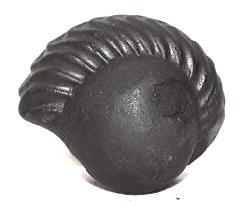 Dhumavati Shaligram/Adwaitya Golden Dhumavati Dasha MahaVidya Shaligram, Fossil, Fossil