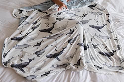 Pobi Baby Premium Baby Blanket, Soft Stretchy Quilt for Babies, Toddlers, Kids (Seaside)