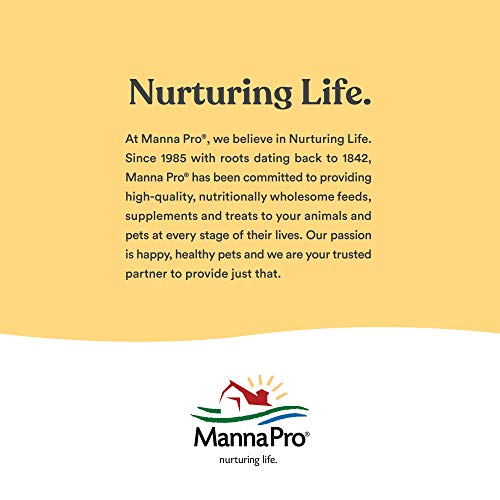 Manna Pro Calf Care Supportive Nutrition for Calves | Calf Milk Replacer | Formulated with Probiotics to Support Healthy Gut and Digestion | 1lb