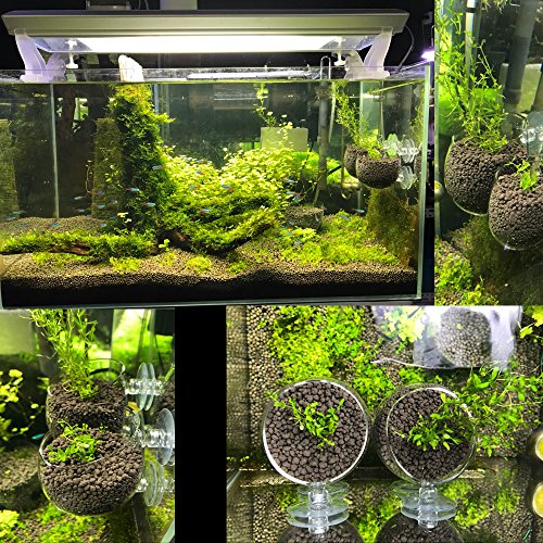 Senzeal 2X Crystal Glass Aquatic Plant Cup Pot with 4X Suction Cups for Fish Tank Aquarium Aquascape