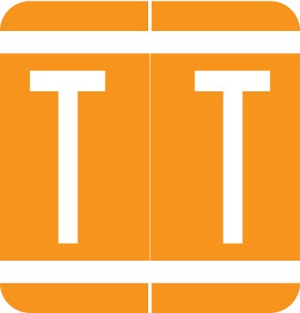 Doctor Stuff - File Folder Labels, Ringbook Sheets Alphabet Letter T, VRE/GBS 8850 - VRAM Series Compatible Alpha Stickers, Orange, 1.3" x 1.25", 200/Package