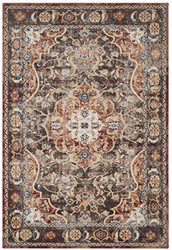 SAFAVIEH Bijar Collection 4' x 6' Brown / Rust BIJ648D Traditional Oriental Distressed Non-Shedding Living Room Bedroom Accent Rug