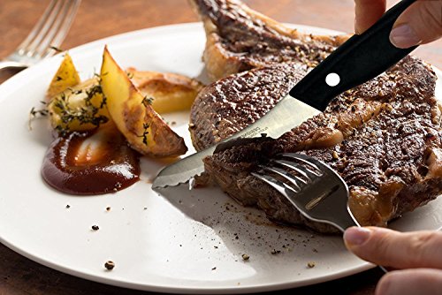 Miracle Blade IV World Class Professional Series Steak Knives Serrated (8 Steak Knives)