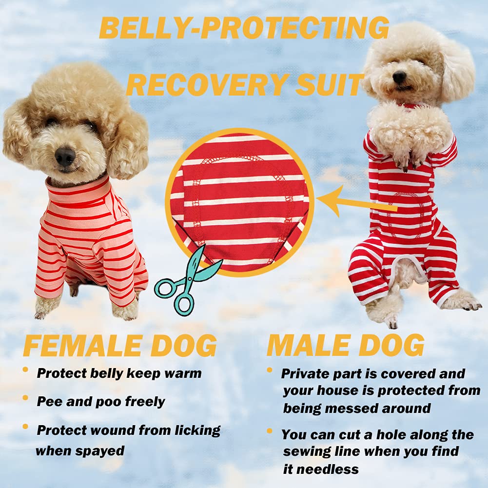 Dog’s Recovery Suit Post Surgery Shirt for Puppy, Full Coverage Dog's Bodysuit Wound Protective Surgical Clothes for Small and Medium Pets (Green Black Stripe-m)